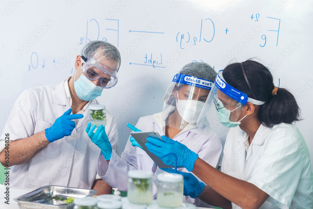 Scientist teams consult together with biochemistry plants tissue ...