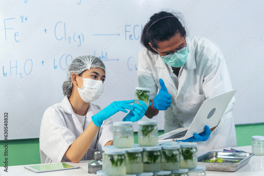 Scientist teams consult together with biochemistry plants tissue ...