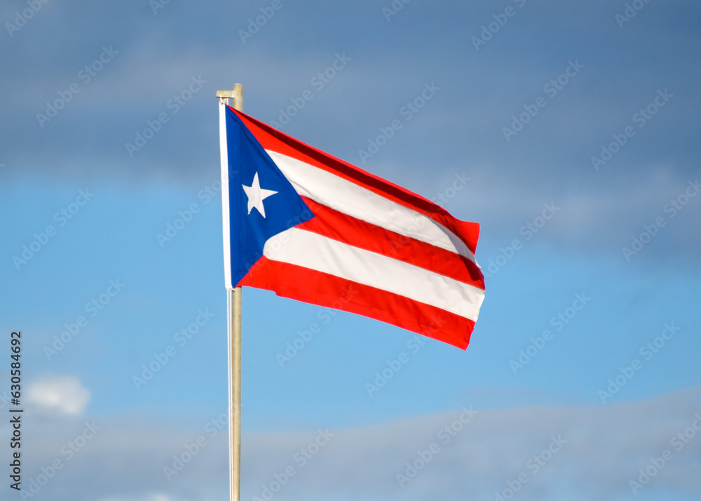 bandera de Puerto Rico ondeando en el viento ilustração do Stock ...