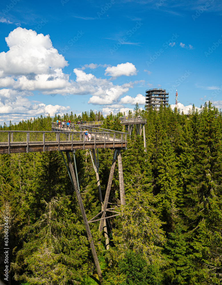 The treetop walk Bachledka in Bachledova valley in Slovakia. Bachledka ...