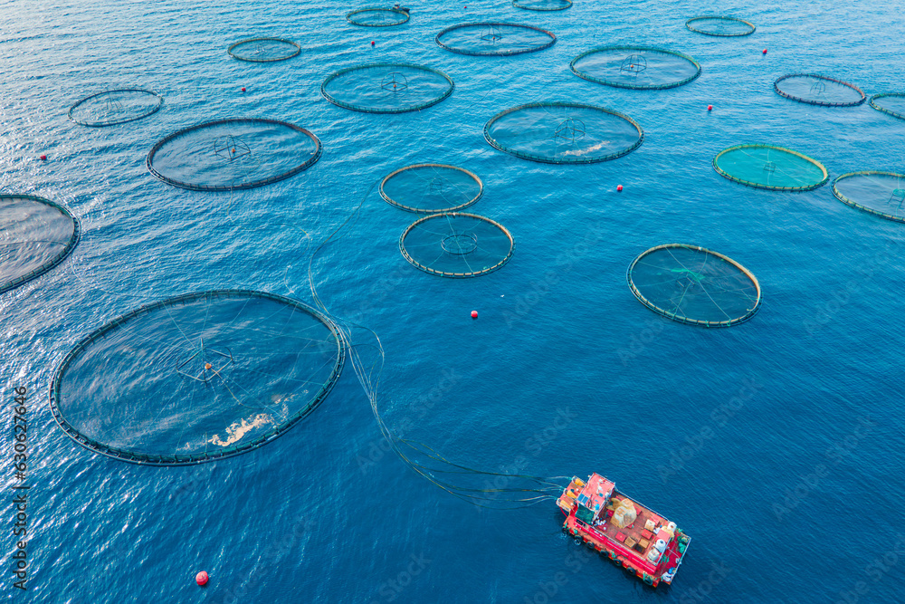 Offshore aquaculture fish farming cages for grow salmon in calm deep ...
