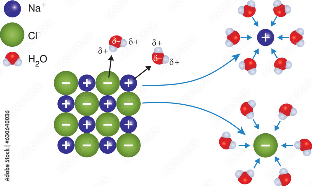 Chemical. chemistry lesson. chemistry question in exam. Dissolution of ...