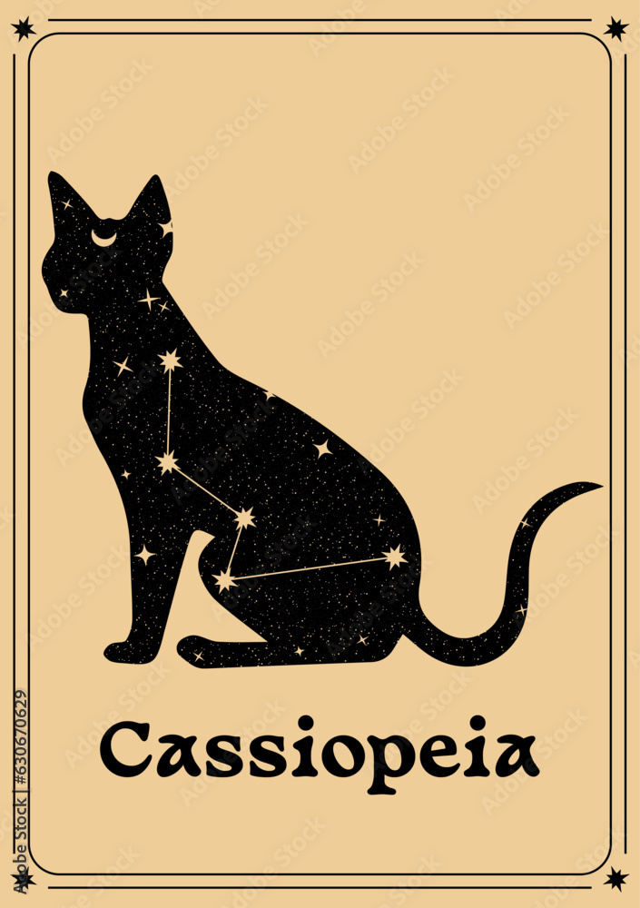 Beautiful universe black cat with cassiopeia constellation, moon, stars ...