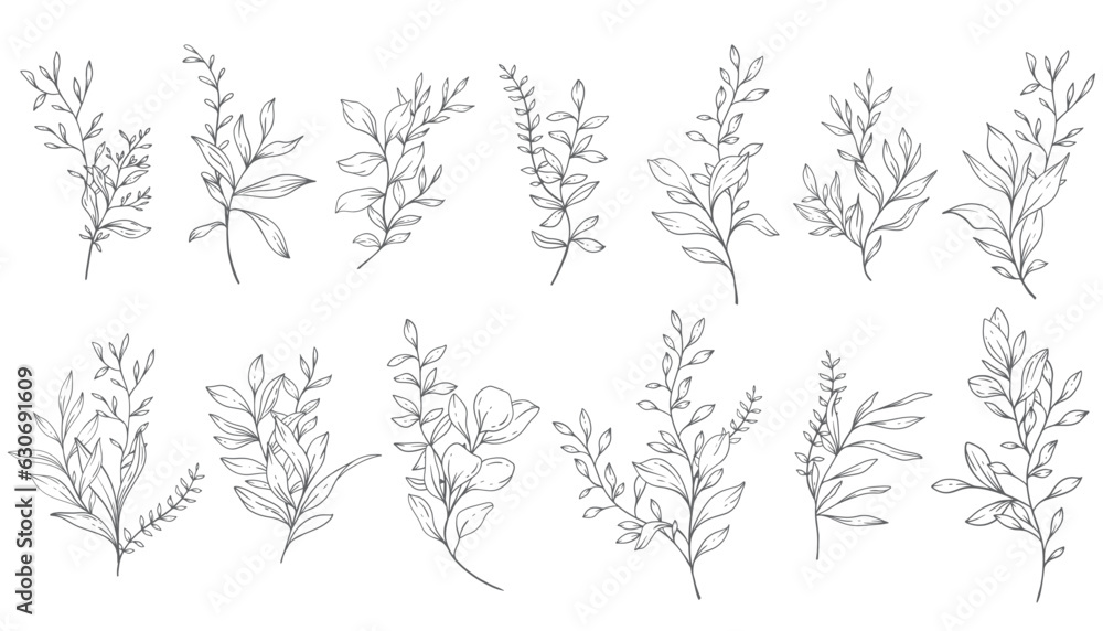 Greenery Line Art, Fine Line Leaves Hand Drawn Illustration. Botanical ...