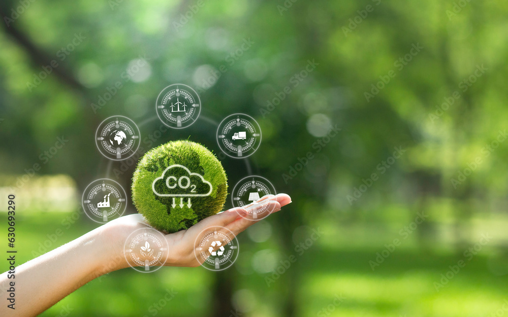 reducing carbon emissions carbon neutral concept Net zero emission ...