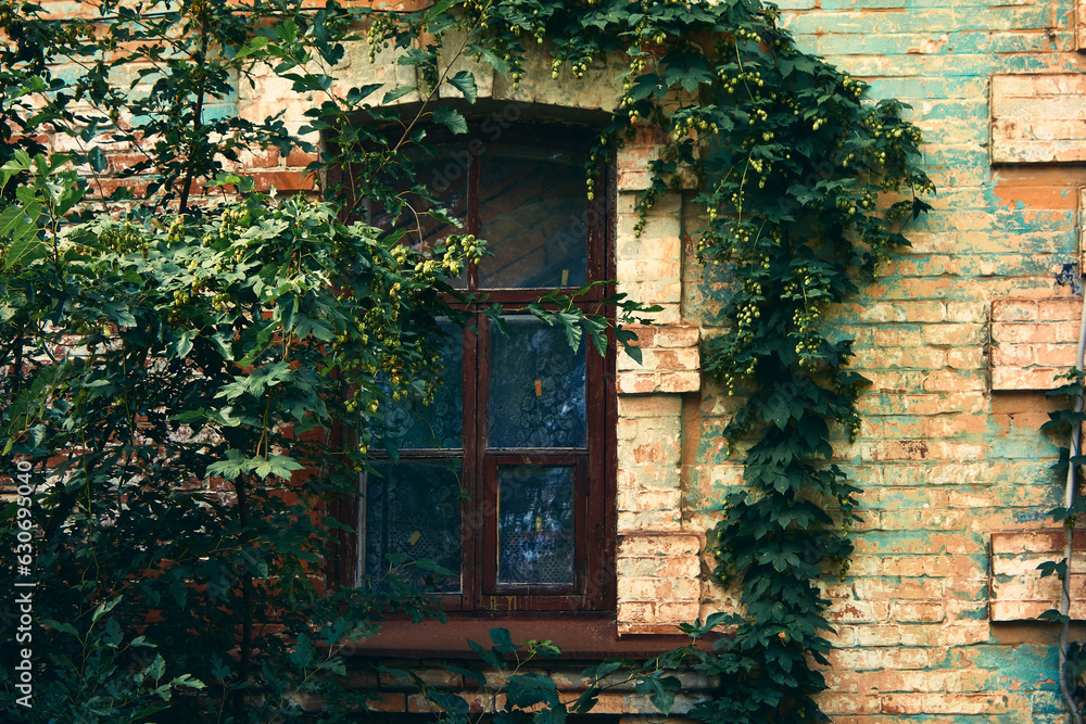 An old brick building, an old-style arched window with a wooden frame ...