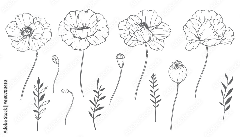 Poster Poppy Flower Line Art, Fine Line Poppy Bouquets Hand Drawn ...