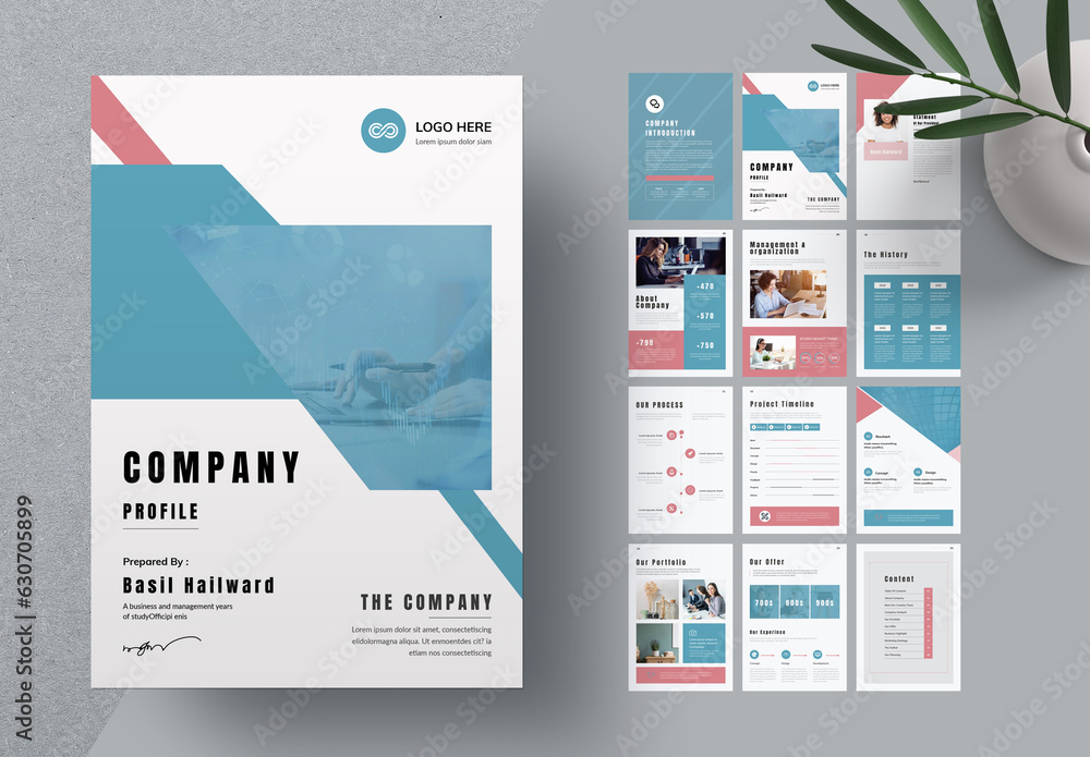 Company Profile Stock Template | Adobe Stock