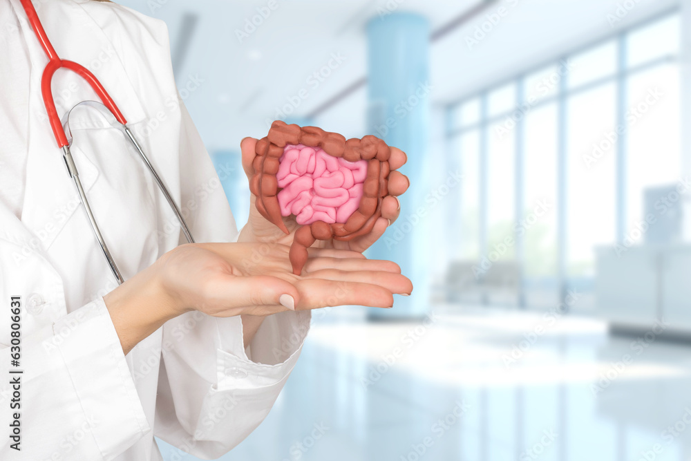 Gastrointestinal tract. Hands of doctor gastroenterologist ...