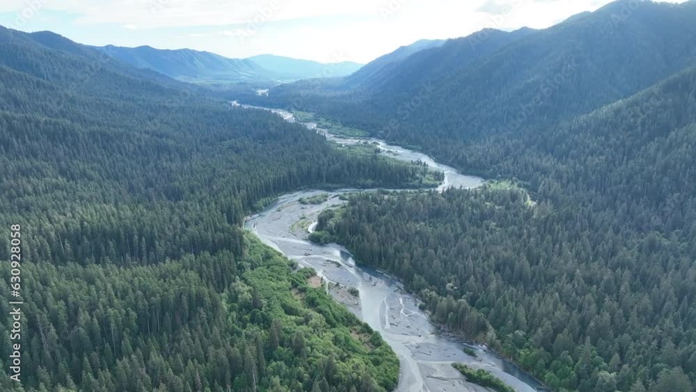 On the Olympic Peninsula, the Hoh river flows through one of the ...
