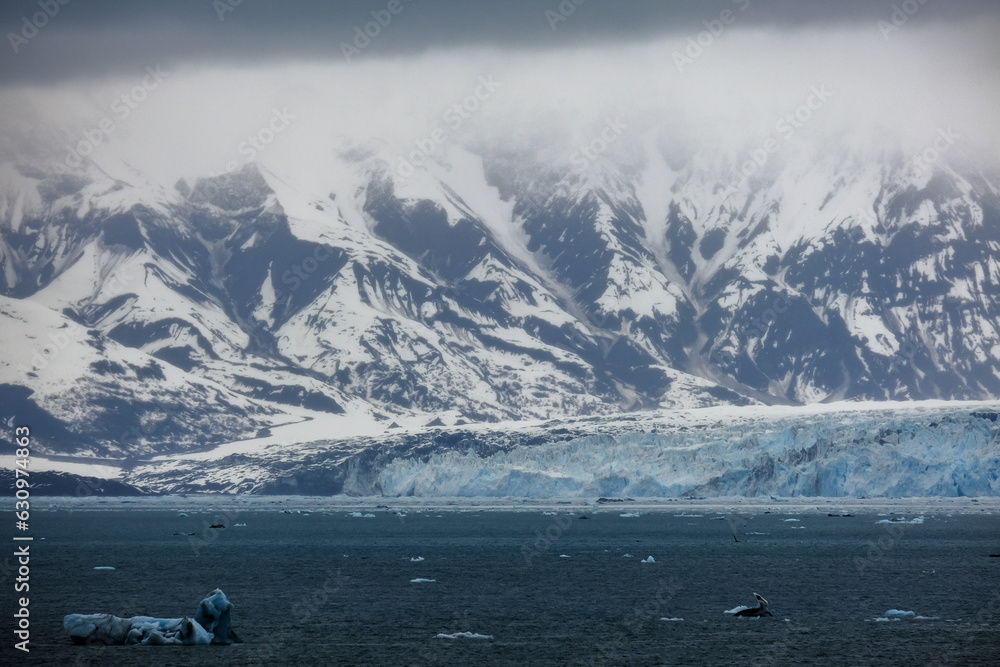 Cruise to Hubbard Glacier Bay in Alaska with floating ice bergs and ...