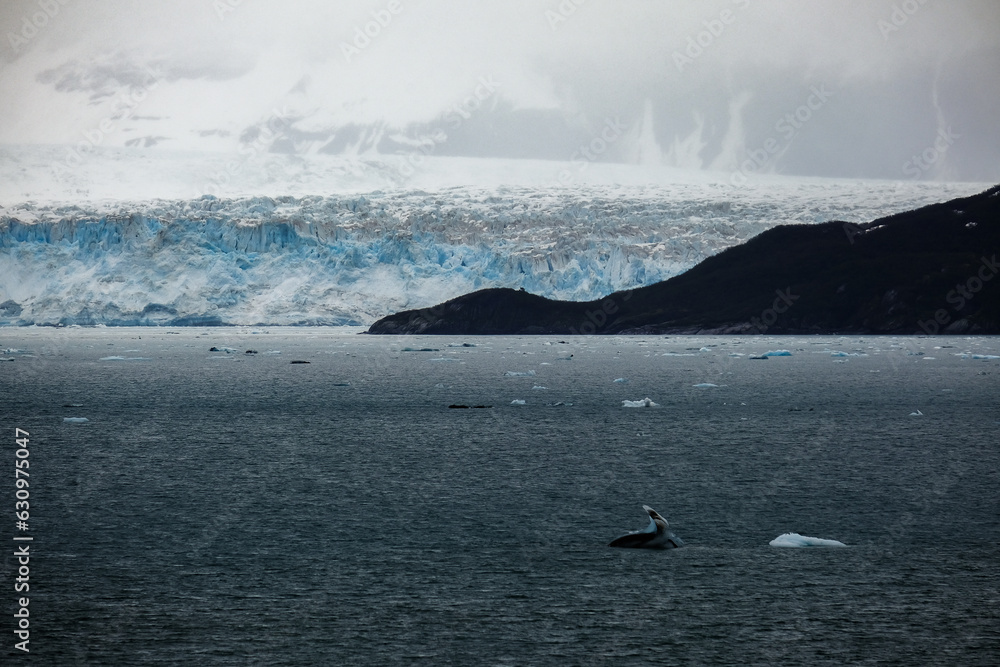 Cruise to Hubbard Glacier Bay in Alaska with floating ice bergs and ...