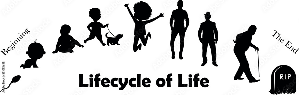 Lifecycle of Life. A silhouette illustration of the human life cycle ...