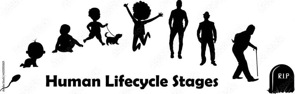 Human life cycle stages silhouette vector illustration. It shows the ...