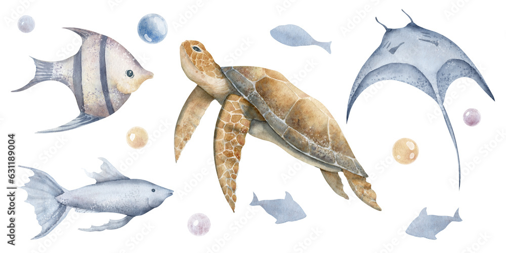 Sea Animals with turtle and Fishes. Hand drawn set of watercolor ...