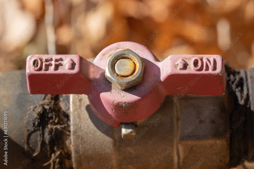 Red valve of old automatic watering close-up. Turn off or turn on water ...