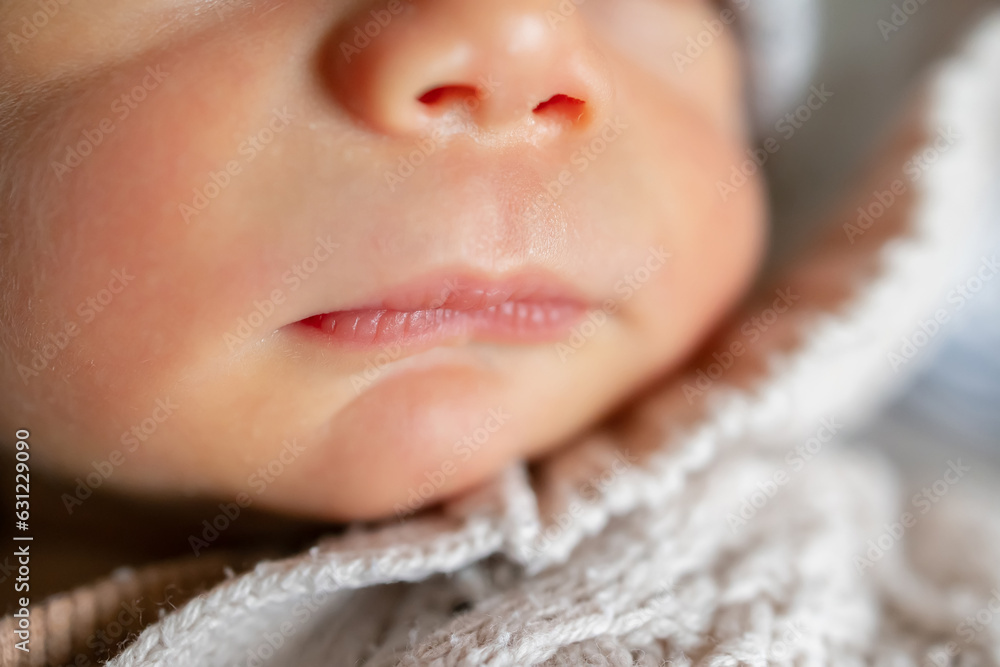 Baby Nose Close Up
