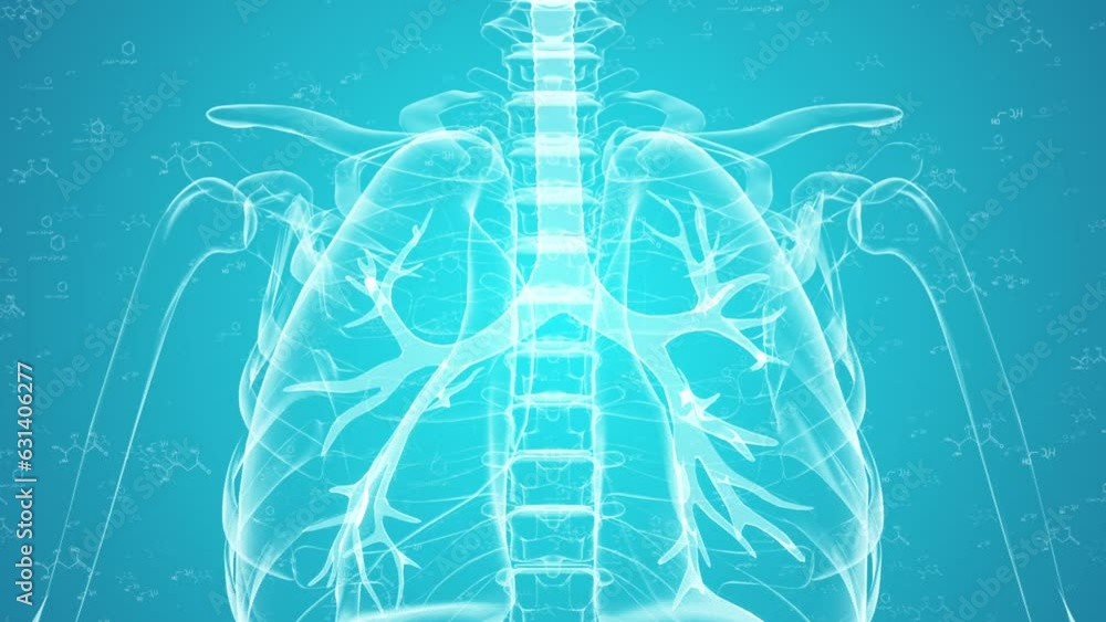 Colorful Human Body animation with flares and particles showing veins ...