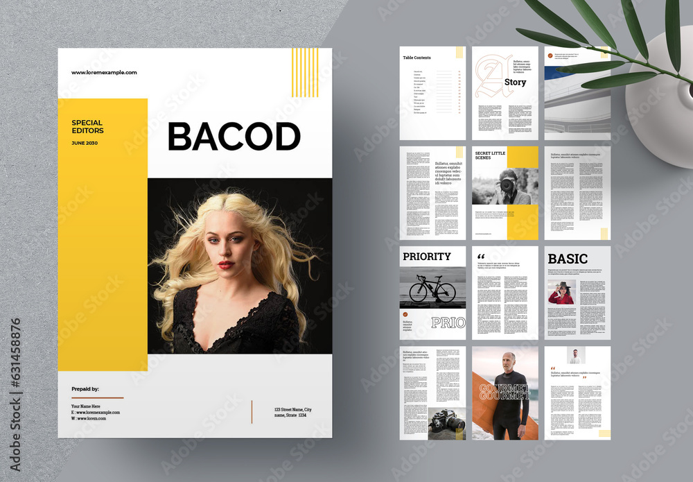 Bacod Magazine Template Stock Template | Adobe Stock