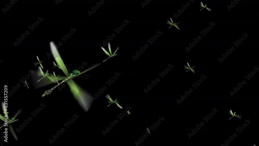 Dragonfly is flying on transparent background. Animation of Dragonfly ...
