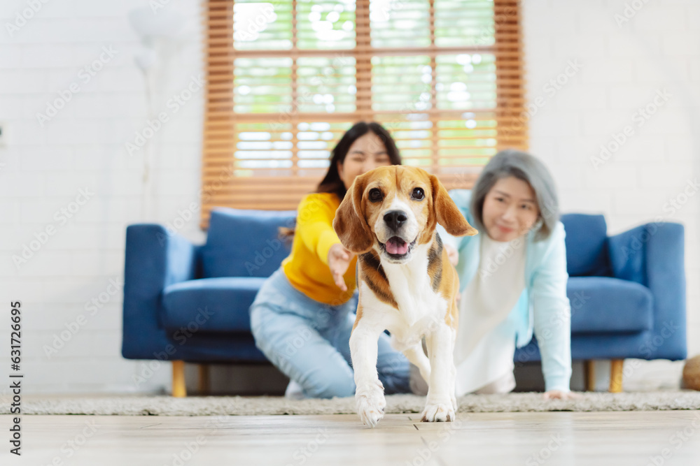 Happy asian senior woman retirement and daughter enjoying her dog pet ...