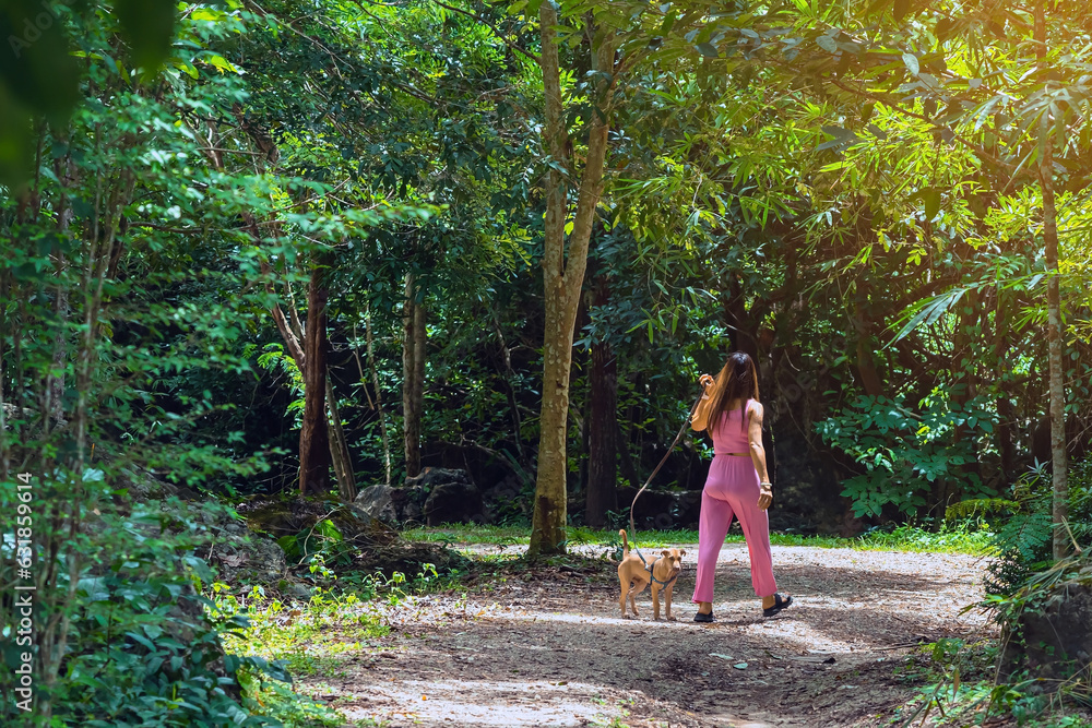 Back view of young beautiful woman walk to explore with her pet dog ...
