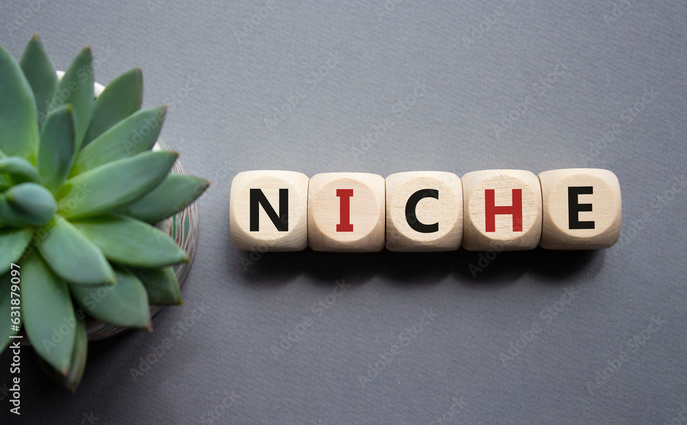 Niche symbol. Concept word Niche on wooden cubes. Beautiful grey ...