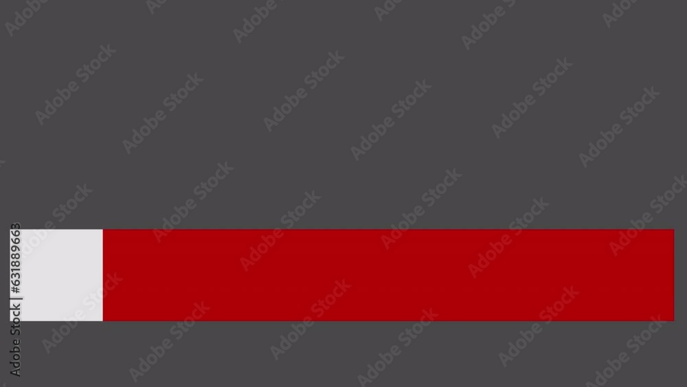 Dynamic Red and white shape lower third animation in 4K RGBA. Lower ...