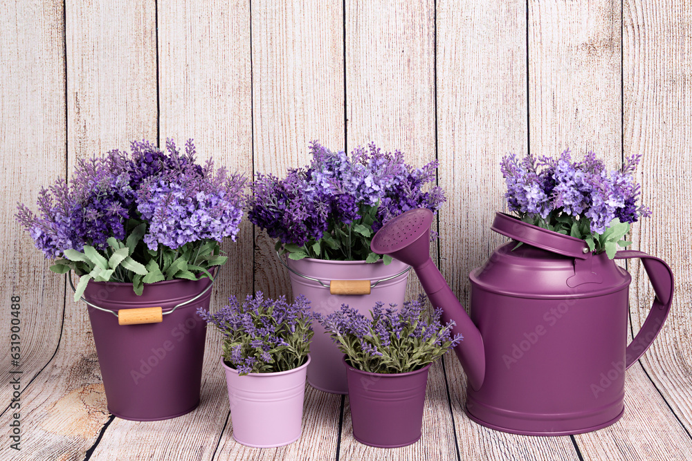 Ramos de flores de lavanda en maceteros y regadera morada. Stock Photo ...