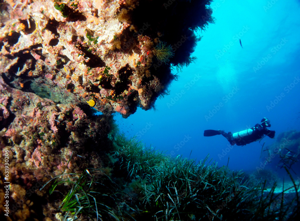 Scuba Diving and Underwater Photography Malta - Wrecks Reefs Marine ...