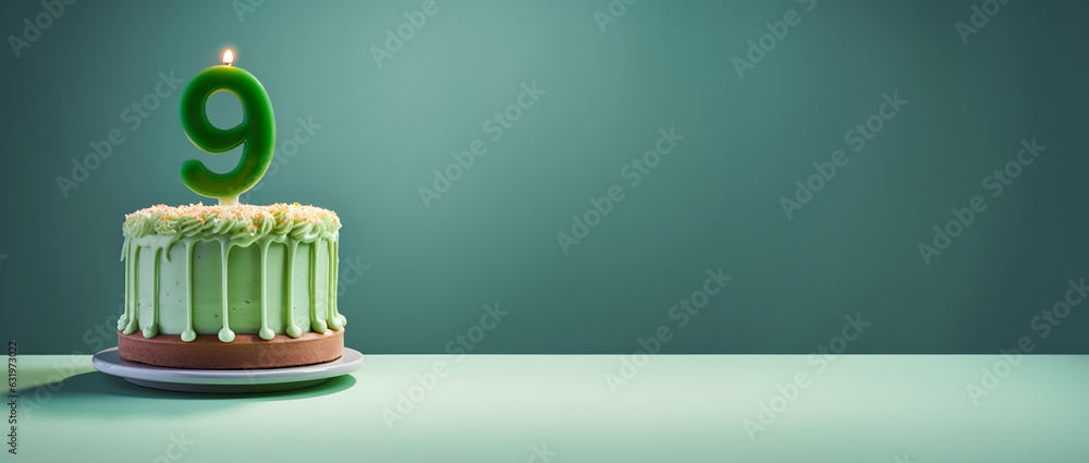 Decorated Birthday cake with a single number nine candle for kids ...