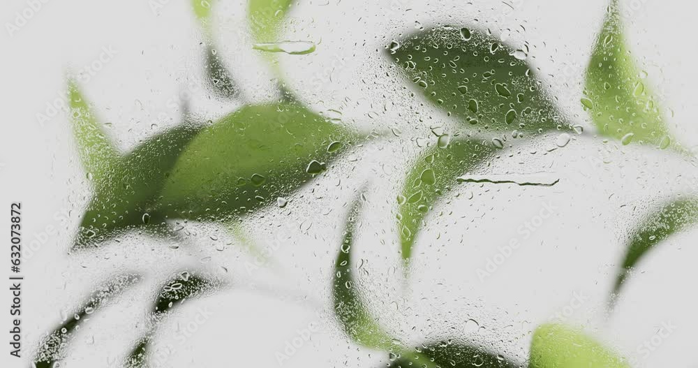 3D vertical background for product or logo. Rain drop animation on the ...