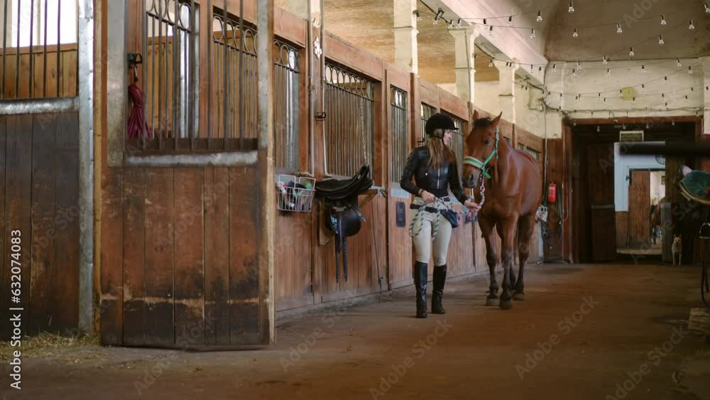 Wide shot portrait of positive young Caucasian woman pulling bridle ...