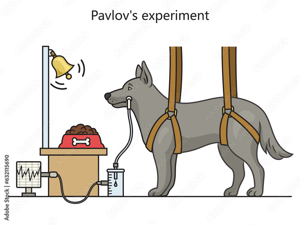 Ivan Pavlov research on dog reflex setup classical conditioning diagram ...