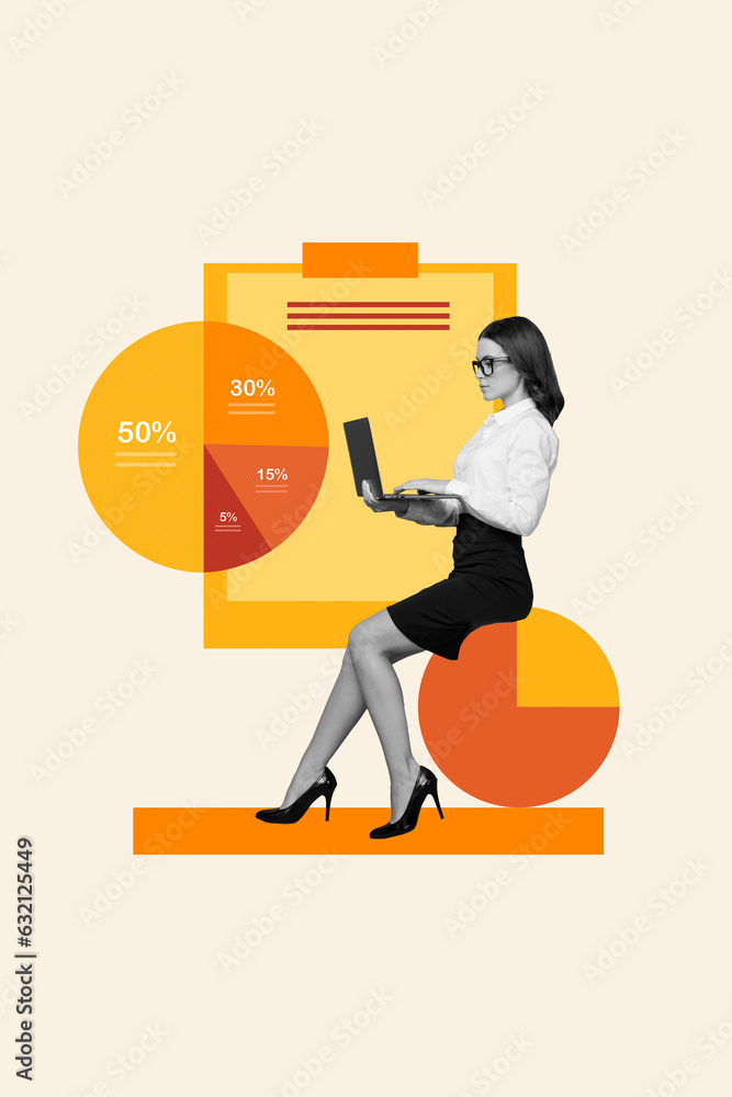 Poster image collage artwork of successful girl use modern netbook ...