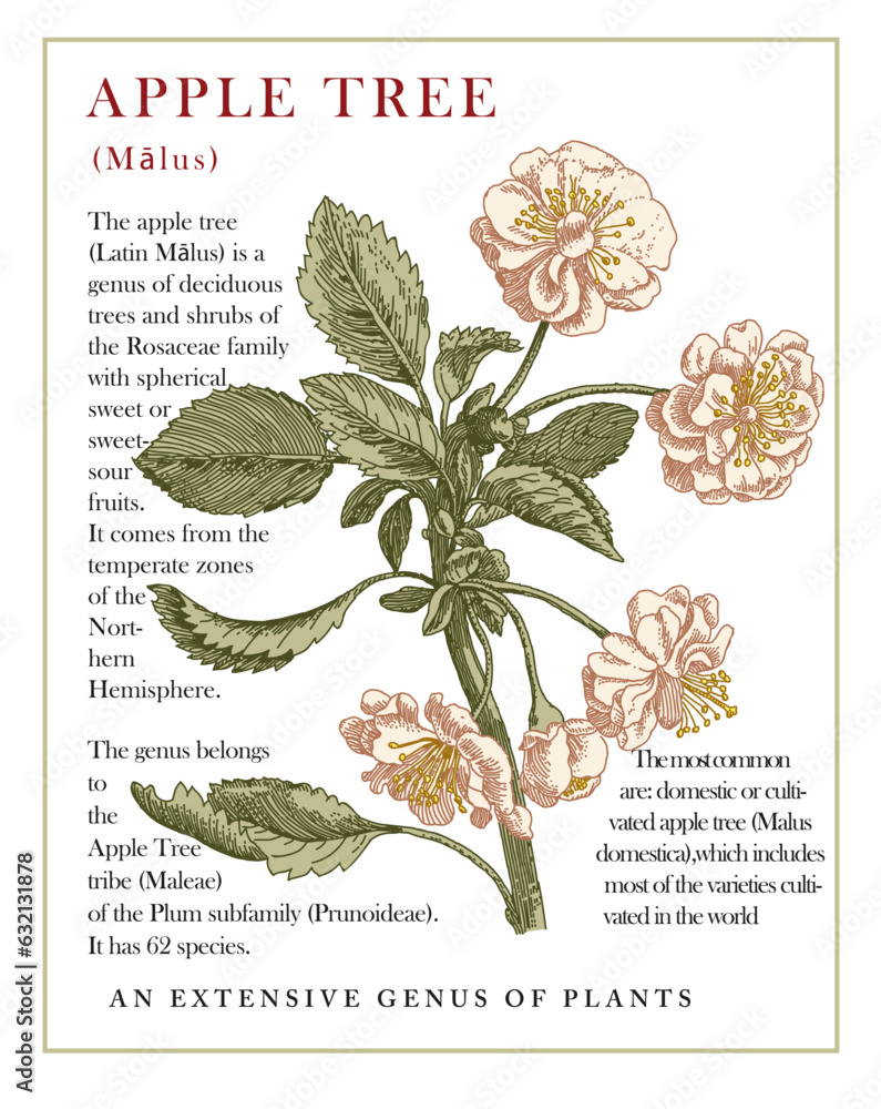 Seamless pattern Apple tree wildflowers. Beautiful fabric blooming ...