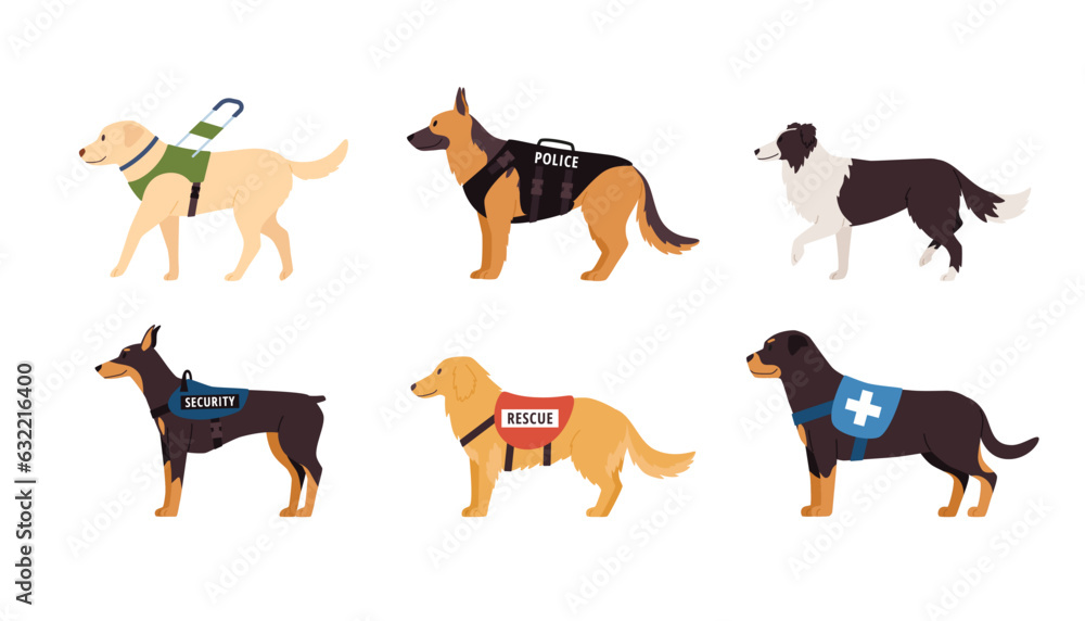 Various assistance and working dogs set, flat vector illustration ...