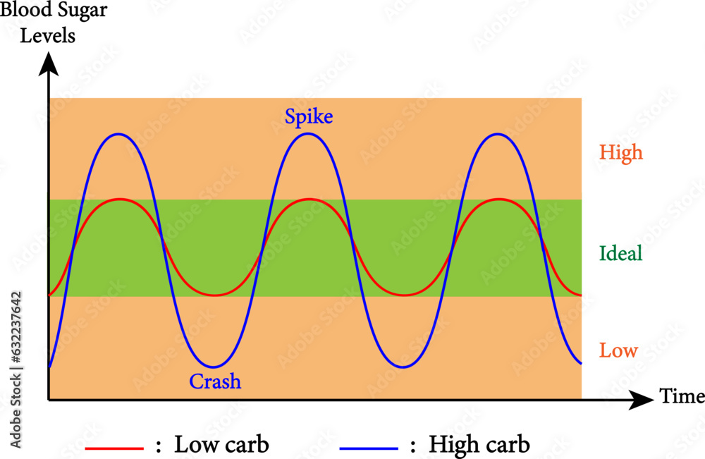 Blood sugar ballance graph. Blood sugar levels, roller coaster ...