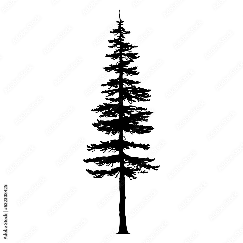 Poster Douglas Fir tree silhouette. Vector illustration – Muurposter ...
