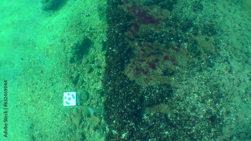 Construction of 3D models of underwater objects: Markers laid out on ...