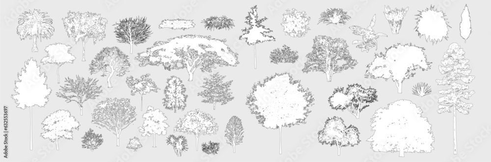 Minimal style cad tree line drawing, Side view, set of graphics trees ...