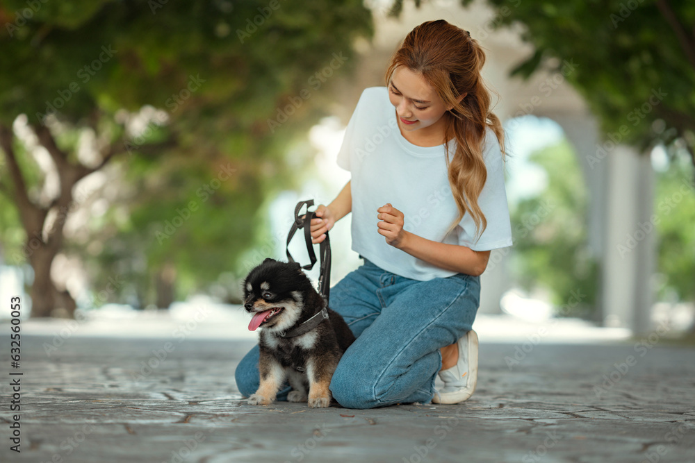 Happy asian woman playing with dog together in park outdoors, summer ...