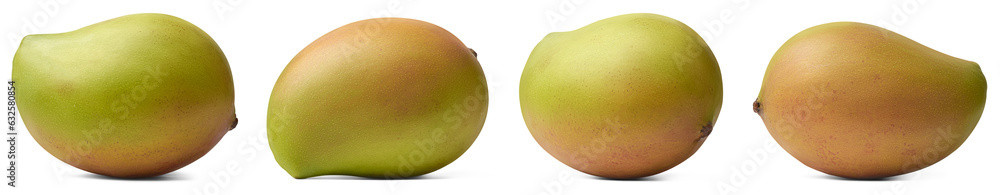 set of mangoes in different angles, mangifera indica, popular tropical ...
