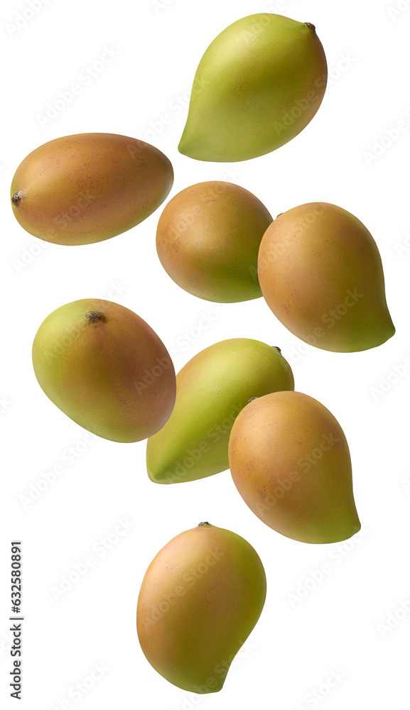 mangoes isolated background, mangifera indica, popular tropical fruit ...