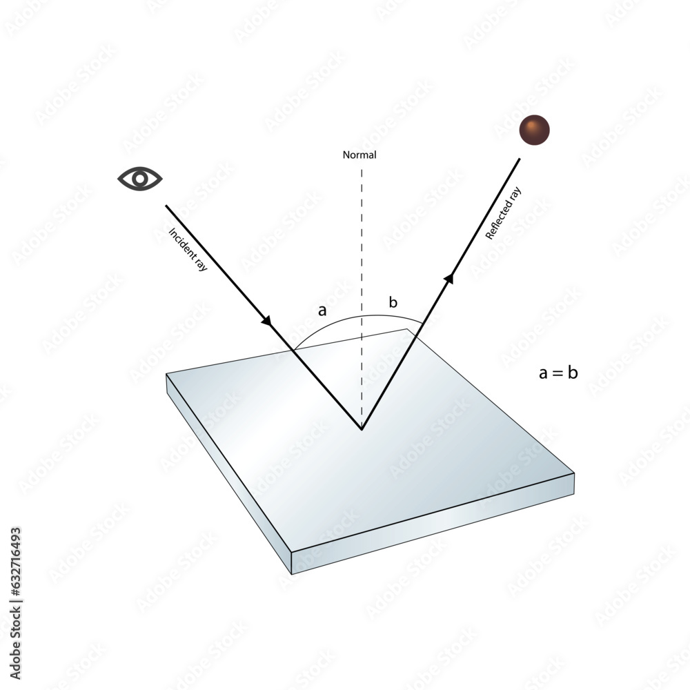 Reflection of light in mirror. Angle incident ray to reflected ray ...
