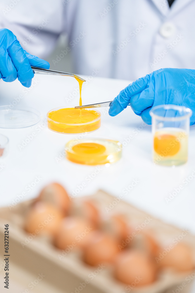 Scientist testing gmo egg for quality control of eggs in chemical ...