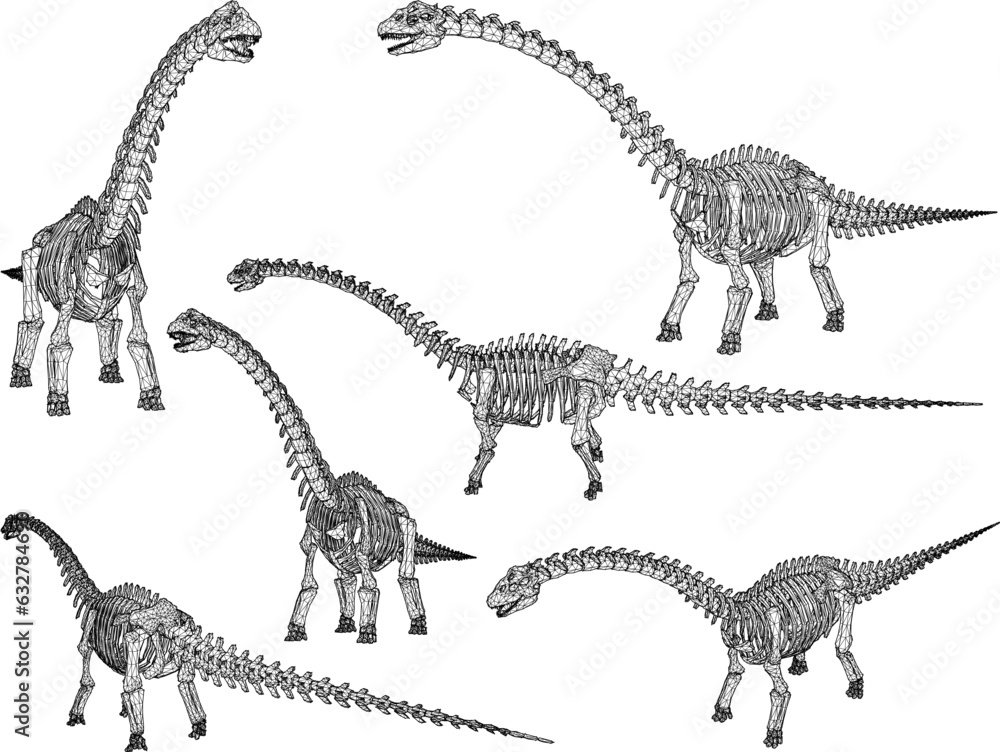 Vector sketch illustration of the skeletal structure of a prehistoric ...