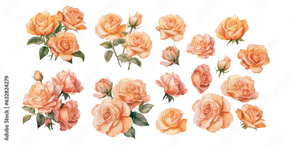 watercolor peach rose clipart for graphic resources Stock Vector ...