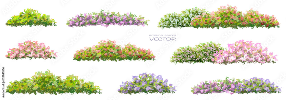 Vector of flower grass or blooming shrub isolated on white background ...