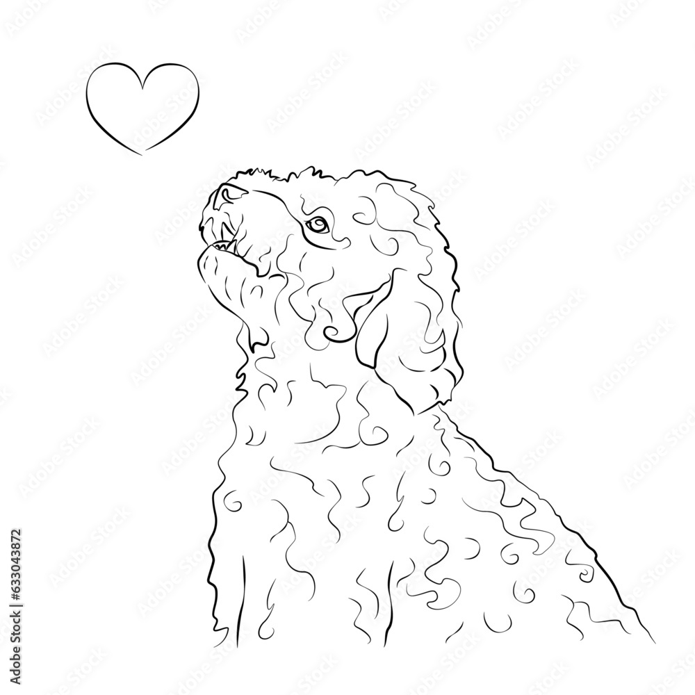 Poodle puppy and heart, line drawing. The dog is a human friend ...